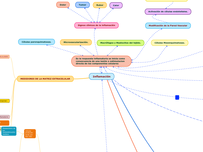 Inflamación - Mind Map